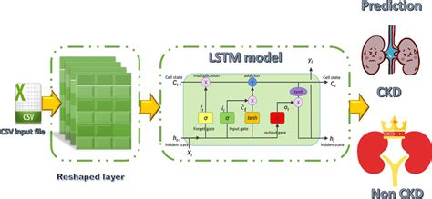 Proposed Lstm Predictive Model For Ckd Prediction Download Scientific