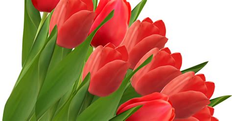 ® Virgen MarÍa Ruega Por Nosotros® La ConversiÓn De Un Futbolista