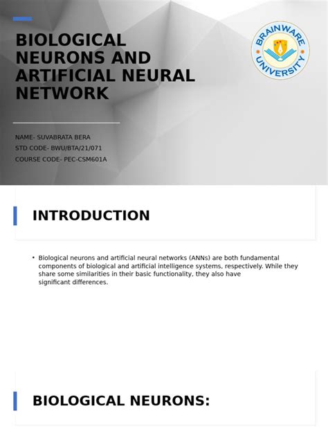 Soft Computing Ppt 071 Pdf Neuron Nervous System