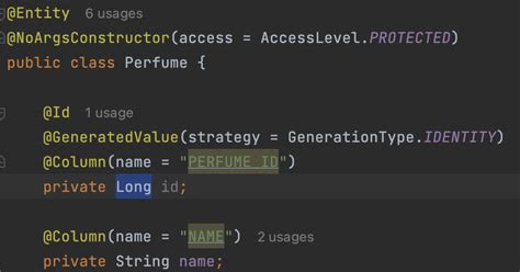 Spring Boot Jpa Entity 설계에서 Long과 Long의 차이