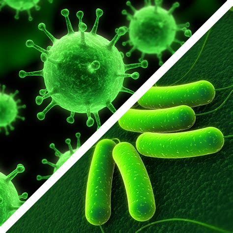 Autoimmunity Laboratory Virtual Laboratory