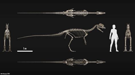 Dilophosaurus 3d Skeleton By Sketchy Raptor On Deviantart