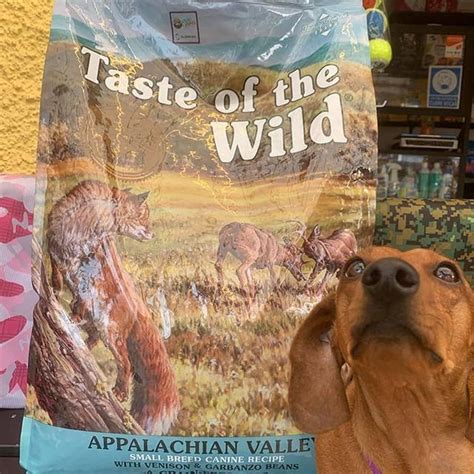 Thức Ăn Cho Chó Phốc Taste Of The Wild Bao 500g Appalachian Valley