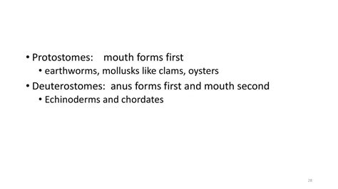 Sol Review Ppt Download