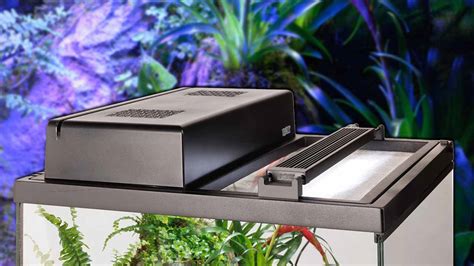 Compact Top Mini Compact Top Mini