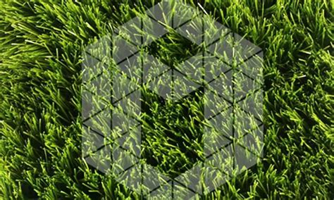 Artificial Grass Dubai Uae