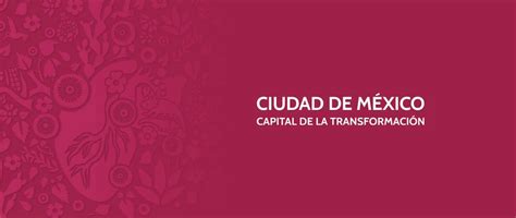 Iboard ¿cómo Es Esto Posible Crean Un Lente De Contacto Capaz De