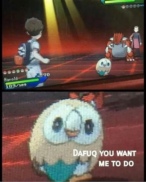 Level 70 Rowlet Vs Groudon Hmm Pokemon Memes Pokemon Pokemon Comics