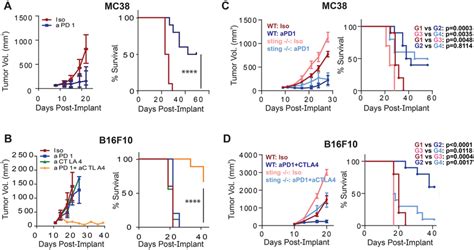 Sting Expression In Non Tumor Cells Differentially Regulates Response