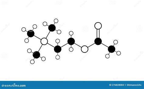 Acetylcholine Molecule Structural Chemical Formula Ball And Stick