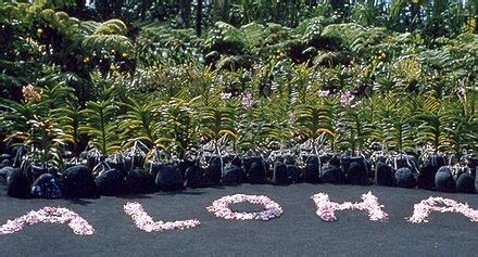 Aloha Wikipedia