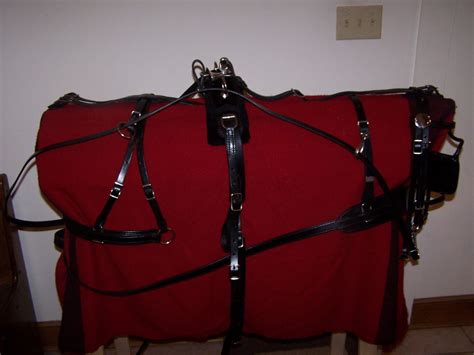 These Are The Leather Heavy Mr Mikes Mini Tack Shack