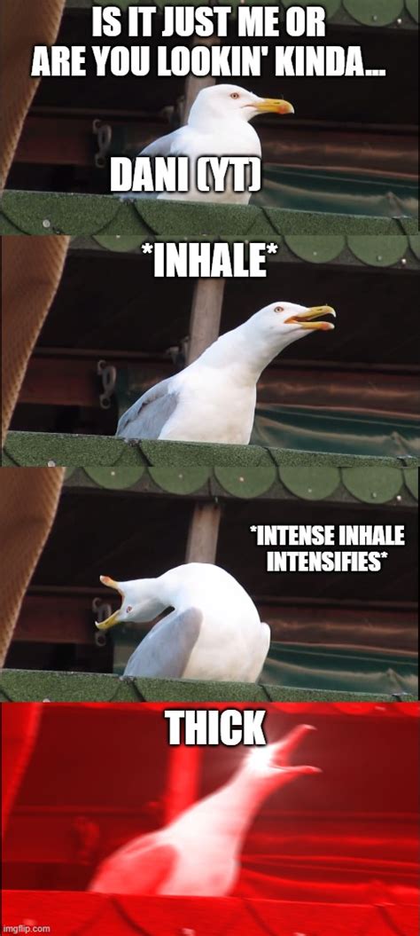 Inhaling Seagull Meme Imgflip