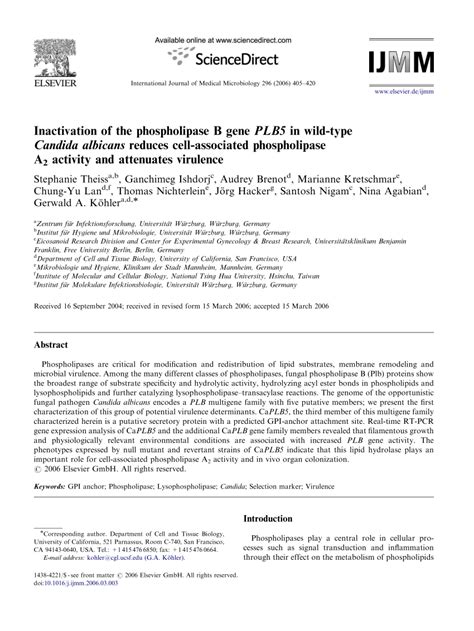 Pdf Inactivation Of The Phospholipase B Gene Plb5 In Wild Type