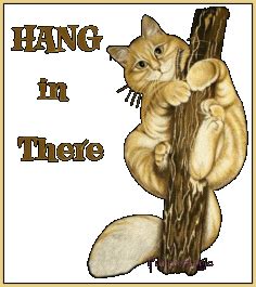 Hang In There Cats  Hanginthere Cats Kittens Discover And Share S