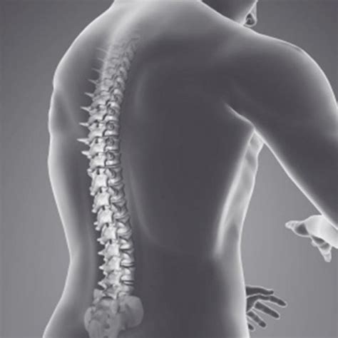 Nikolaos D Benardos Md Orthopaedic Spine Surgeon Athens Greece