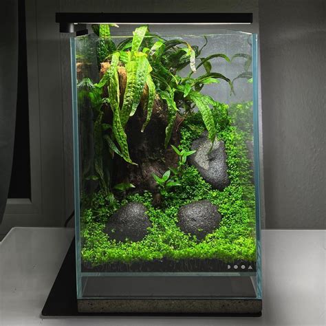 Dennis On Instagram “my Dooa With The Mig A Dooa Beton Base 🌿🔥 Dooa