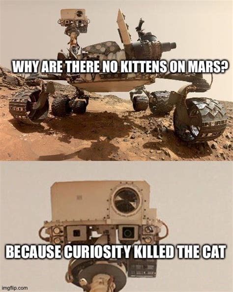 Nasa Is Bioengineering Anime Cat Girls For The Colony Rmemes