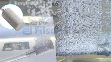 All You Need To Know About Bioreactor Spargers Filson Filter