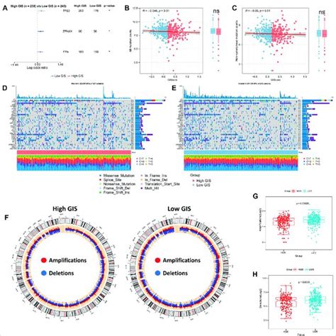 Genomic Mutation Landscapes Of Gis Models A Forest Map Of The Download Scientific Diagram