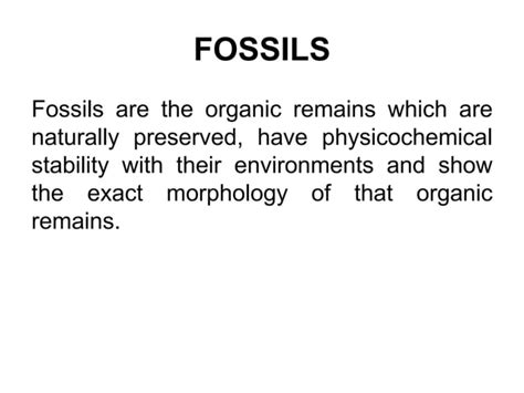 Fossils Fossilization Ppt Geology Science