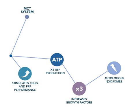 Mct Meta Cell Technology Autologous Enhanced Injectable Prp