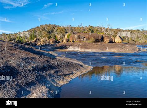 The Junction Of Bald Rock And Ramsay Creeks The Junction Girraween