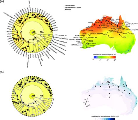 Ancestral State Reconstruction Of Nesting Habits Related To Two