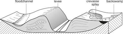 Crevasse Splay