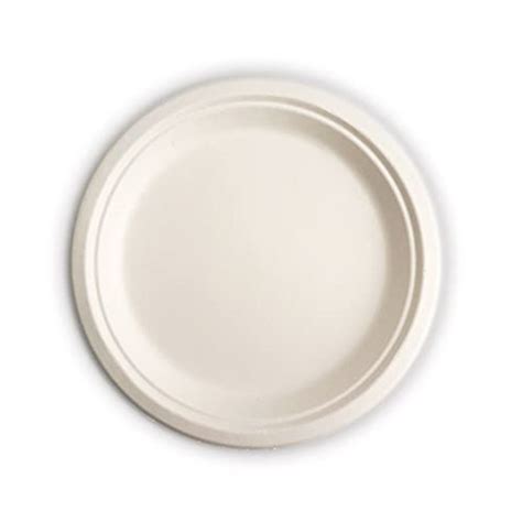 Riteearth 6 Bagasse Round Plates Pack Of 125 1000cs 144cssk