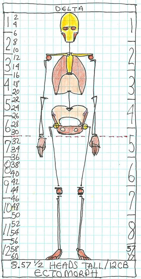 Ectomorph Cranial Box Quicksketch Design Ojack Art Art