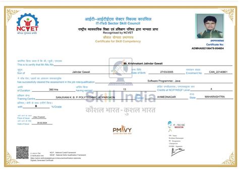 Krushnakant Gawali On Linkedin Skill