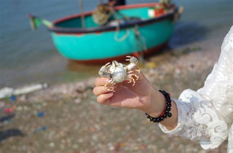 2025美奈渔村游玩攻略舒适游推荐第三种方式，可以【去哪儿攻略】