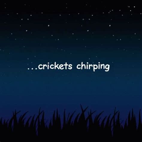 Crickets Chirping  Night Crickets Crickets Chirping Funny