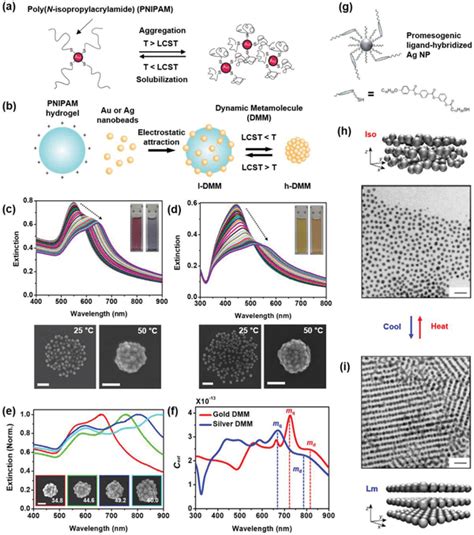 Thermoresponsive Plasmonic Nanoparticles A Temperature‐dependent