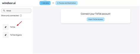 Tiktok Ads Connector No Code Data Integration Windsor Ai