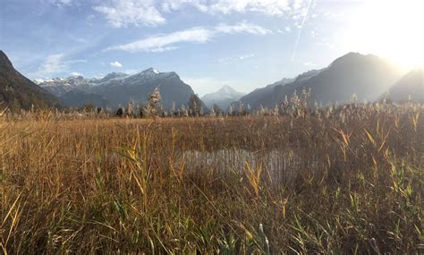 Alexandra Faass Jungi Svp Alexandra Faass Jungi Svp Bs