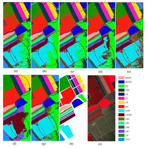 Hyperspectral Image Classification Using Feature Relations Map Learning