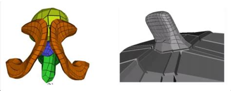 Left Finite Elements For Objects In The Male Pelvis Right Finite Download Scientific