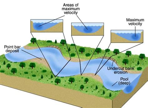 River Bank Diagram