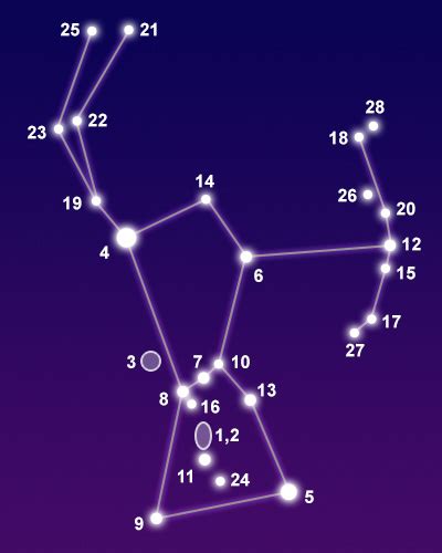Constellation Orion The Constellations On Sea And Sky