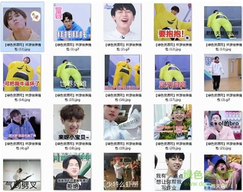 林彦俊表情包图片图片预览绿色资源网