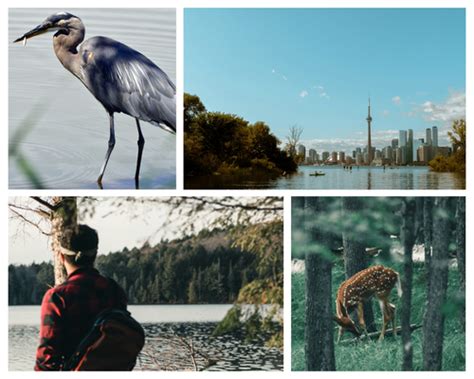 Ecosystem Management Vs Ecosystem Based Management — Centre For