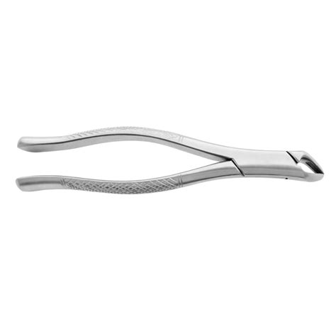 Extracting Forceps Fig 62 Incisors Premolars Deciduous Teeth