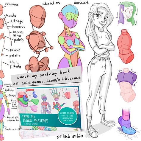 Learning Drawing Principles Drawings Character Design Figure Drawing Learning Drawing Principles Drawings Character Design Figure Drawing