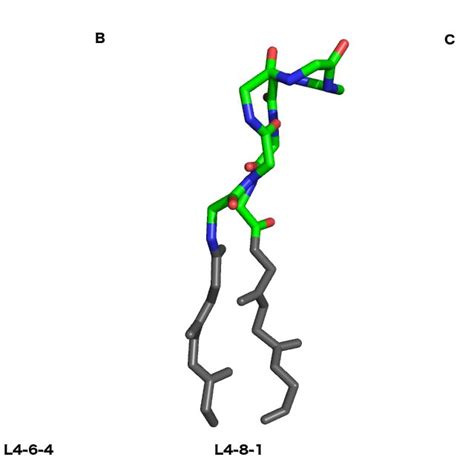 Position Of The De Loop In Antibody Structures A V Type Fold Download Scientific Diagram