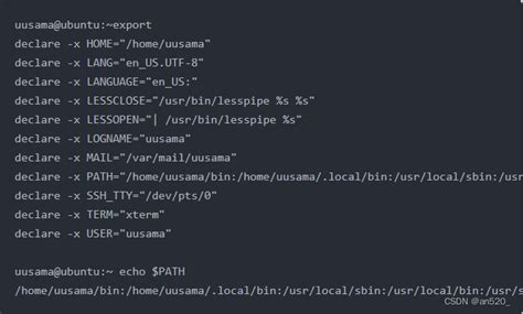 Linux环境变量配置的6种方法 远洪 博客园