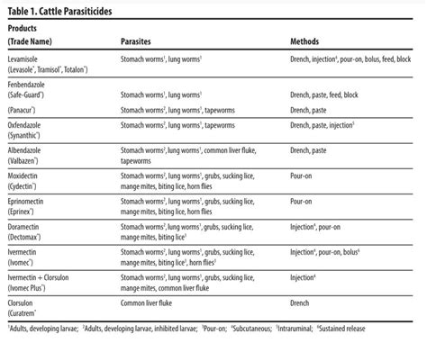 4 Common Cattle Internal Parasites West Texas Livestock Growers