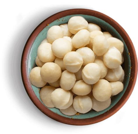 Benefícios Da Macadâmia Queennut Macadâmia