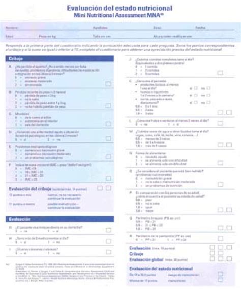 Mini Nutritional Assessment Score At Adeline Ouellette Blog